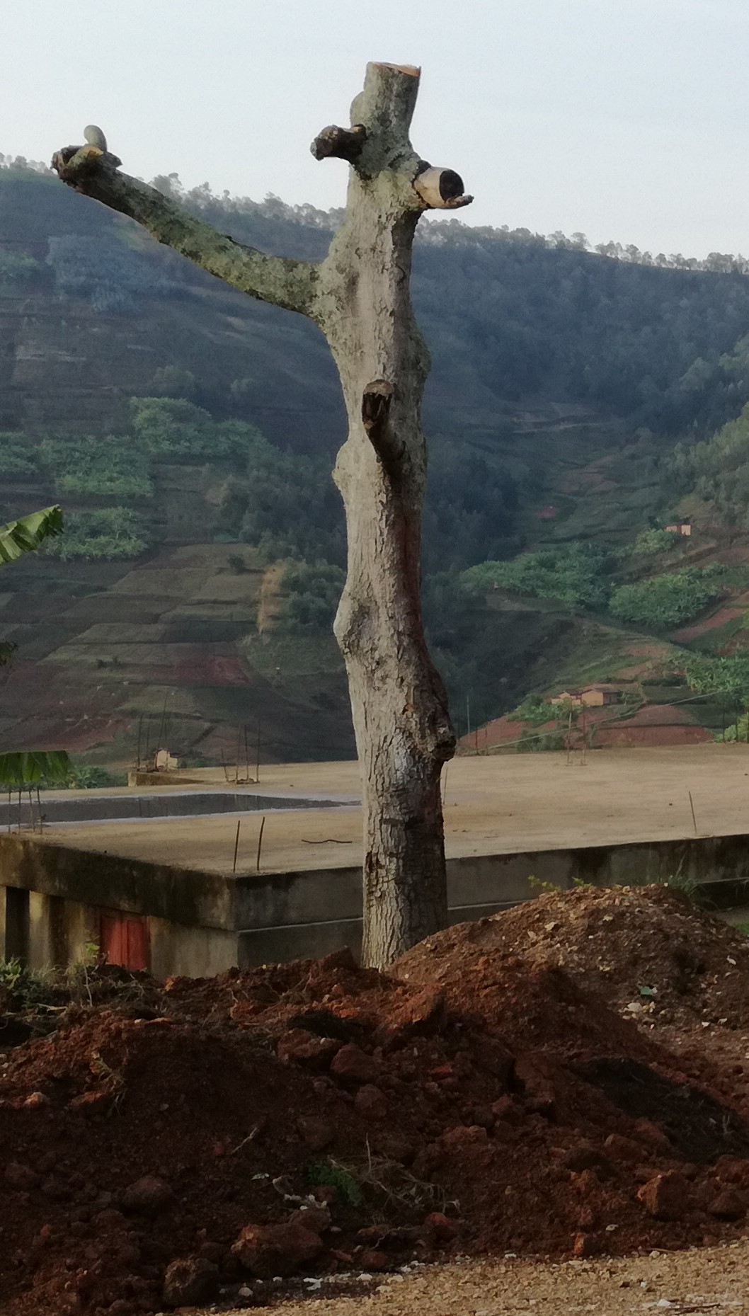 100 jours moins 13 jours … – Centre Ubuntu Rwanda